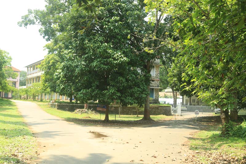 St.Thomas College, Palai
